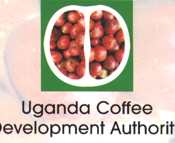 UGANDA JOBS: JOBS at Uganda Coffee Development Authority (UCDA)