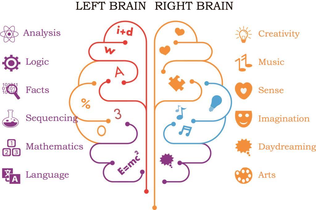 Welcome to World of Babyz: Left & Right Brain Development