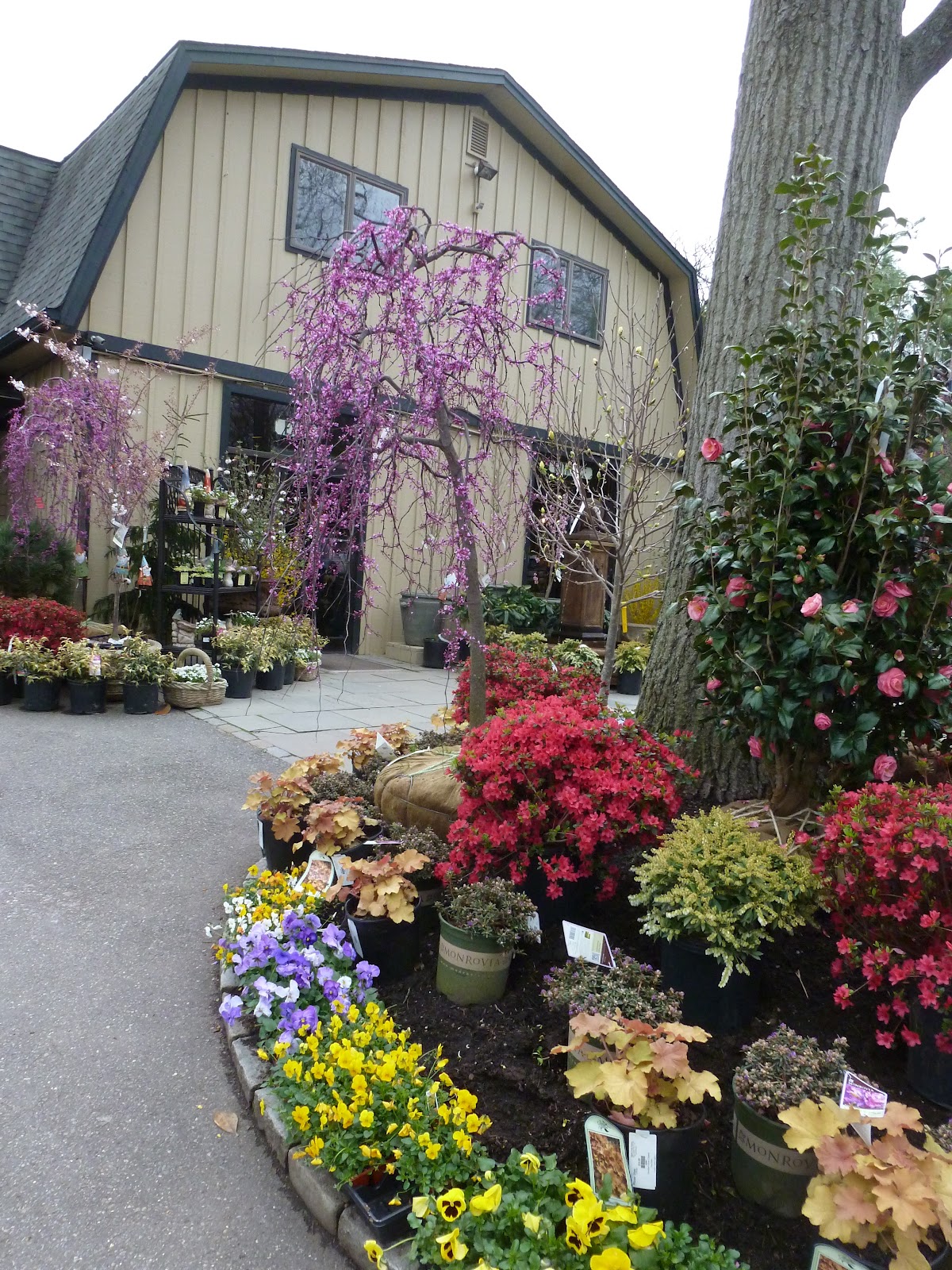 Jarvis House: Martin Viette Nurseries a Place for Gardeners