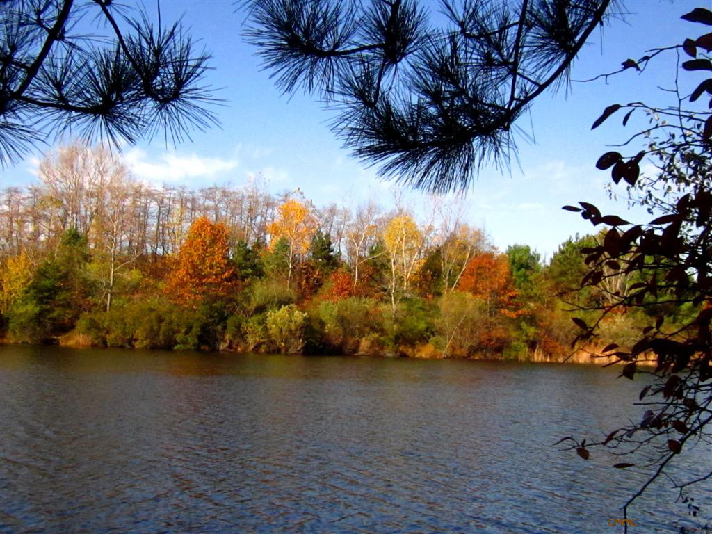 Plants Amaze Me: Hawthorn Natural Pond Area and Farview Nature Park and ...
