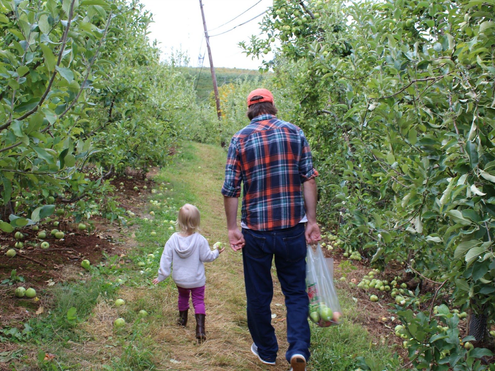 hoping for rocketships: 2015