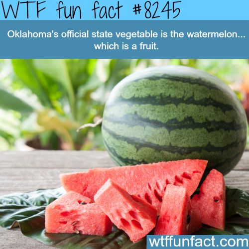 60 Interesting Random Facts | Amazing WTF Facts
