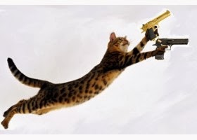 Wallpapers: Funny Cats With Machine Guns HD Wallpapers