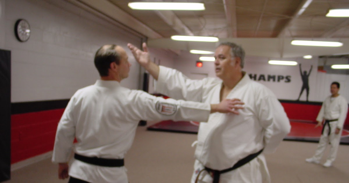 Isshin - Concentration the Art: When you only have one hand free