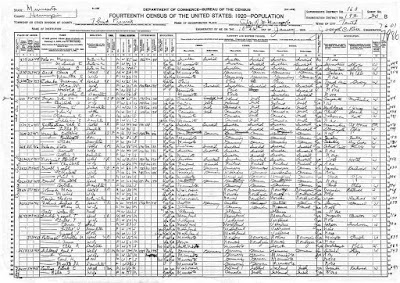 A Sander Blog: 1920 US Federal Census: C. N. Peterson Family