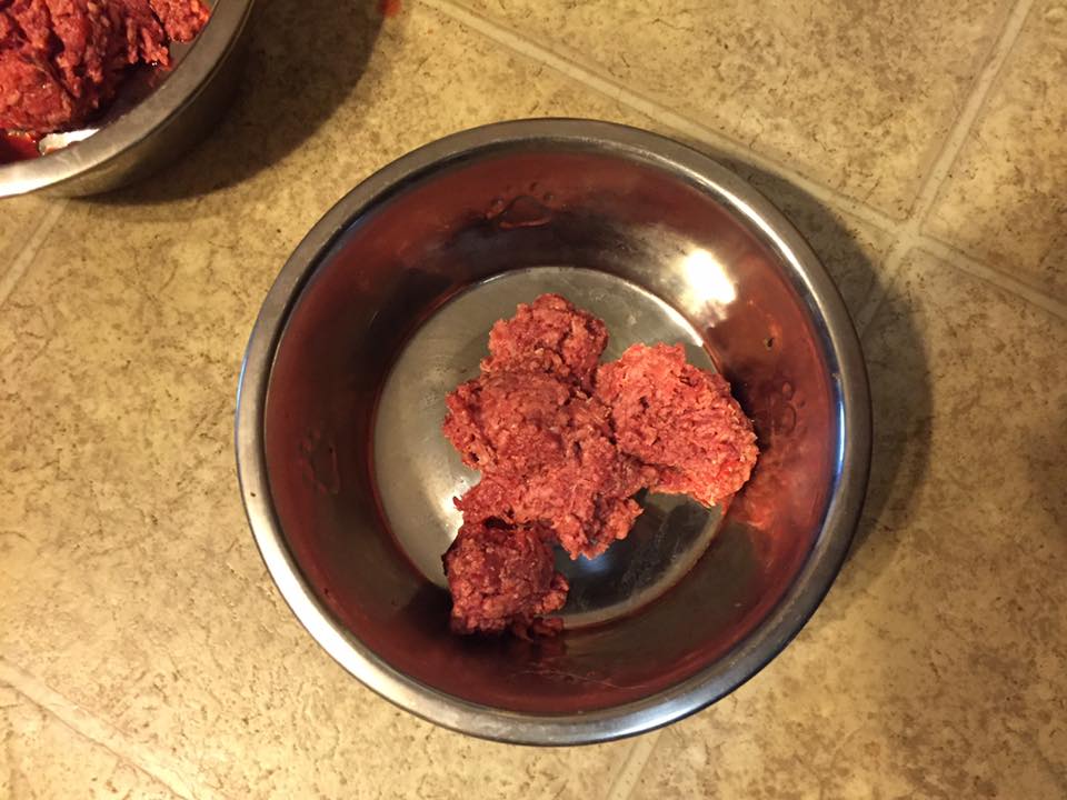 My Rotten Dogs: Recent Raw Meals