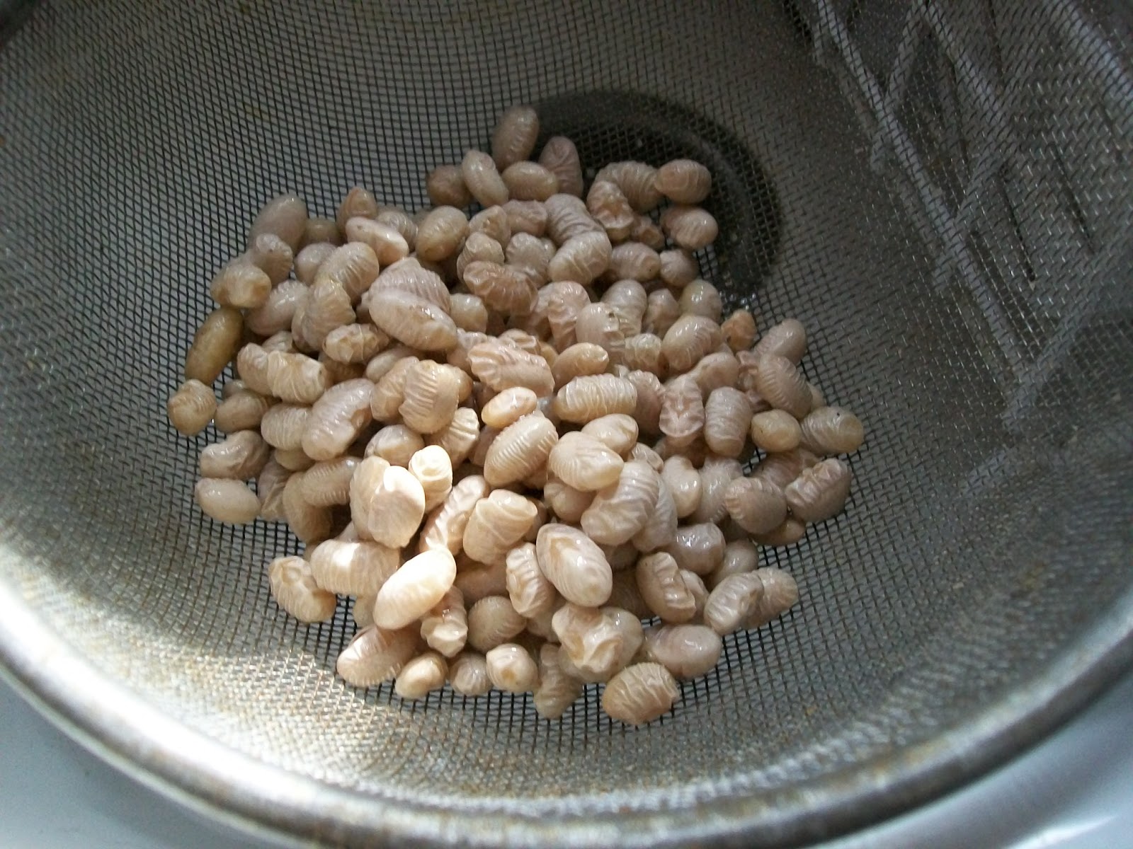 Michigan Cottage Cook: HOW TO COOK NUNA BEANS---THE BEANS THAT POP.
