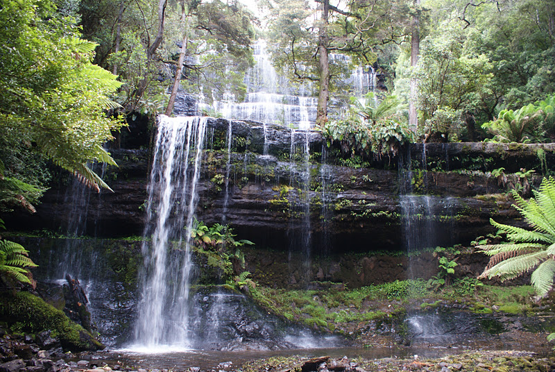 Nele & Andrew Around Oz: Land of the Giants Campground, Mount Field ...