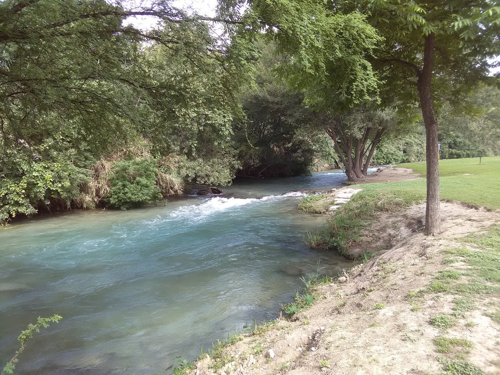Terlingua Dreams: Del Rio's Rotary Park