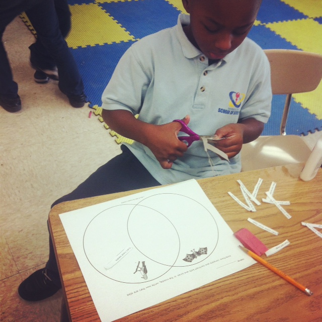 Buzz Around in Second Grade: Going Batty and a Freebie!