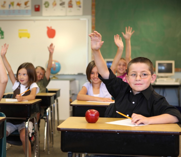 Health Care and Health Insurance: Schooling in Health