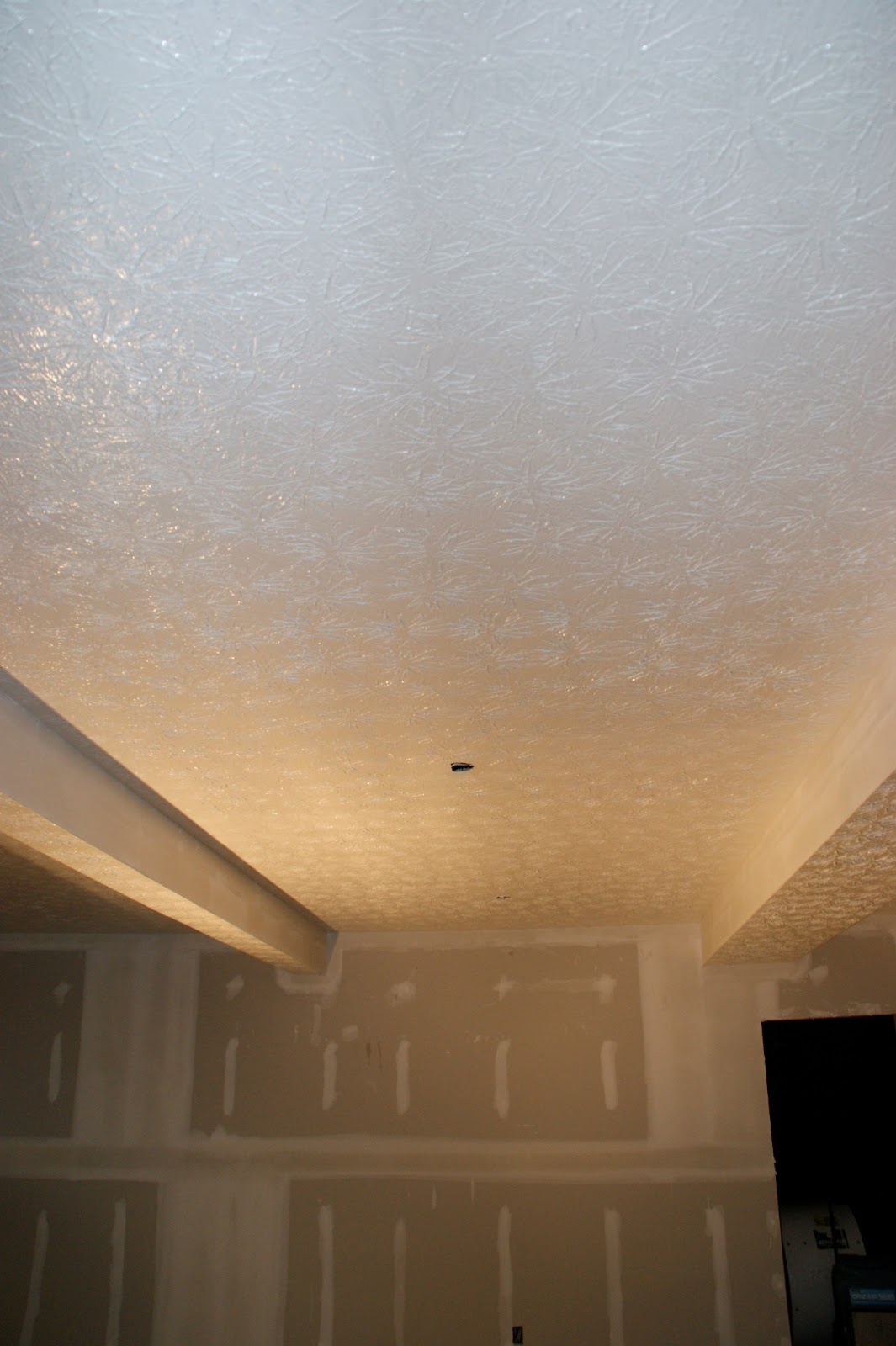 Building our Heavenly Highgrove: Day 54: Ceiling Textured & Final Drywall