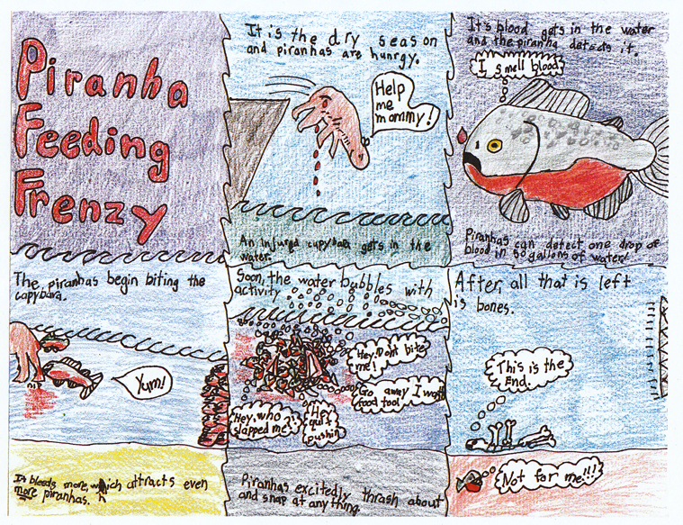 Kiran Makes . . .: Piranha Report from 3rd Grade