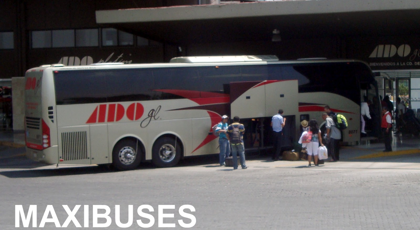 MAXIBUSES: ADO GL