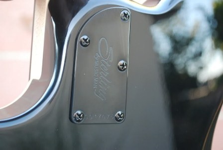 Rex and the Bass: Sterling AX20 Guitar Review