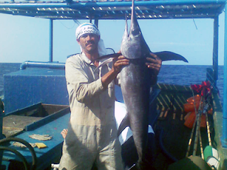 Delivery Pescados: Conheça o peixe espadarte (ou meca), a picanha do mar.