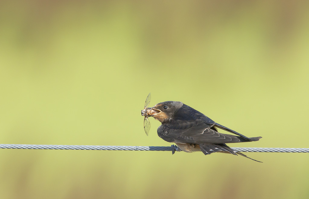Nikos Fokas Photopraphy Blog