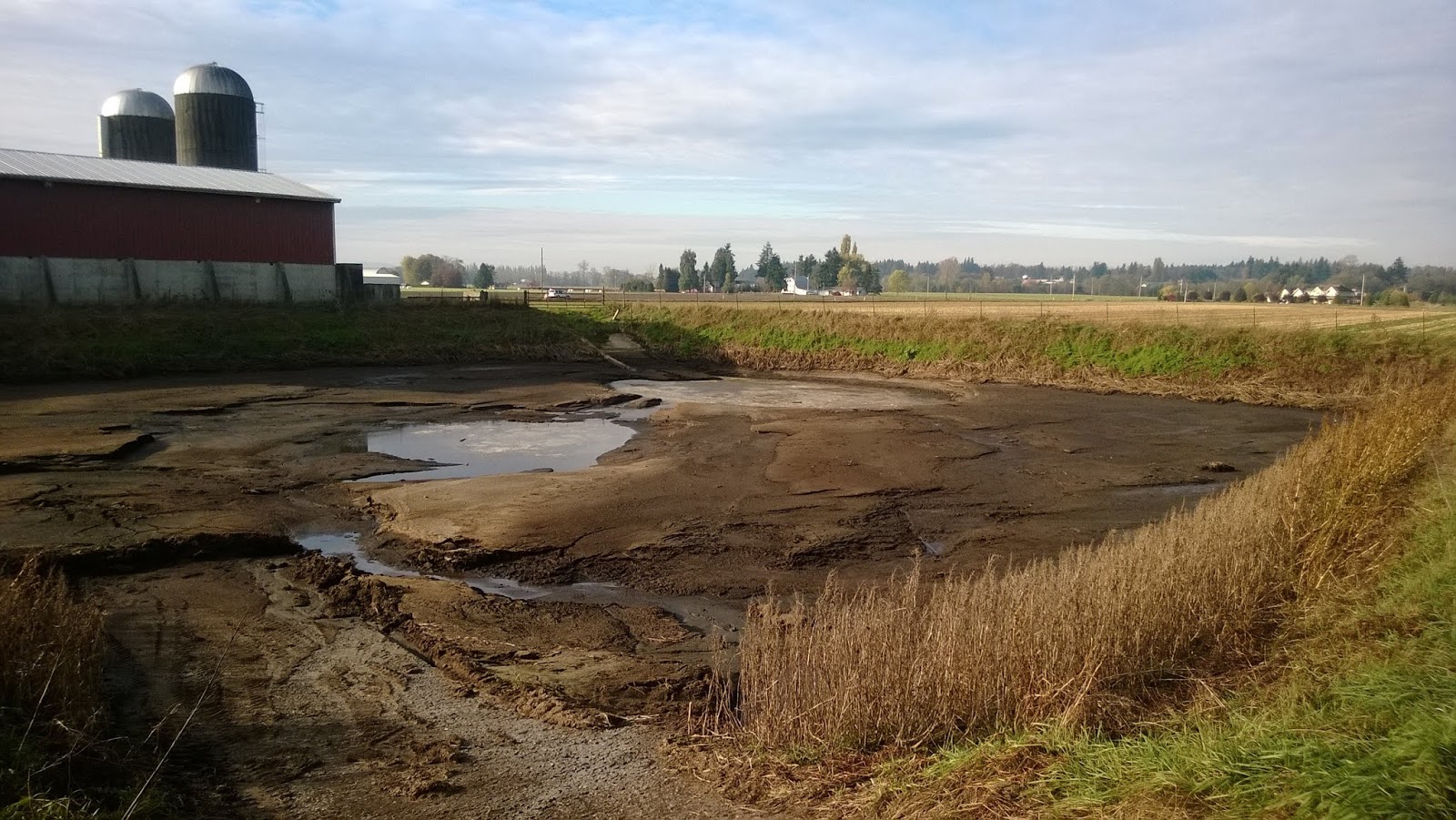 WSDA AgBriefs: Managing manure and water in the wet season