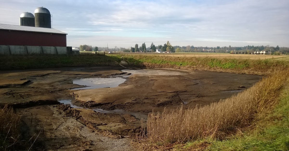 WSDA AgBriefs: Managing manure and water in the wet season