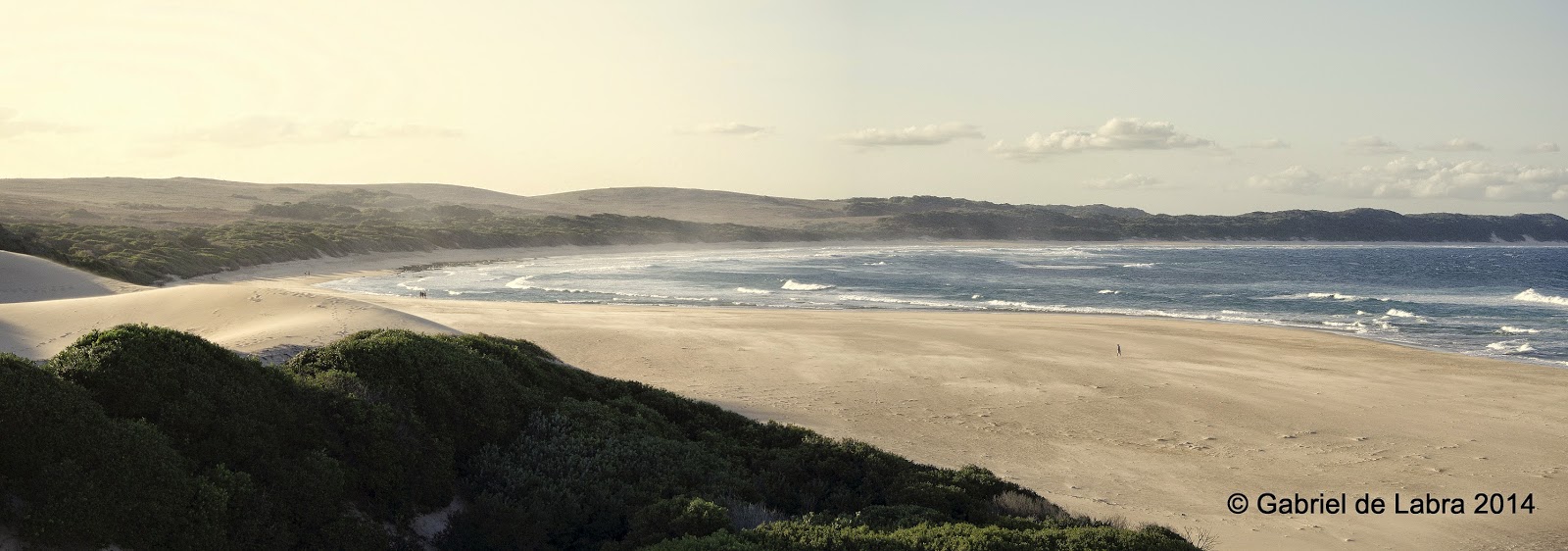 ¡NWADZINGUELE: MOZAMBIQUE!: La Reserva Especial de Maputo