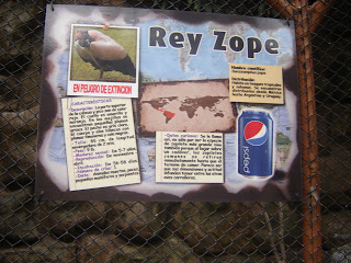 Zoológico la Aurora: Rey Zope