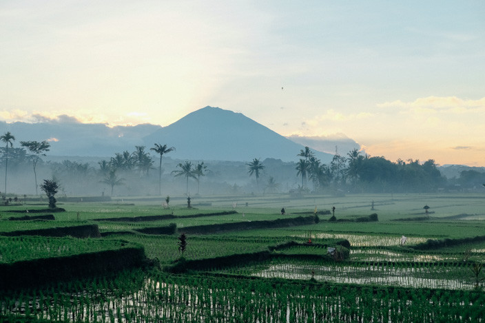A Guide to 15 Activities for a Perfect Ubud Experience - kadekarini ...