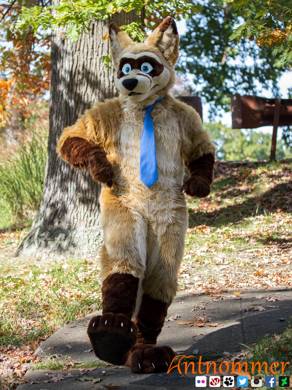 Just Anteater Things: Looking Back: Western Pennsylvania Furry Weekend