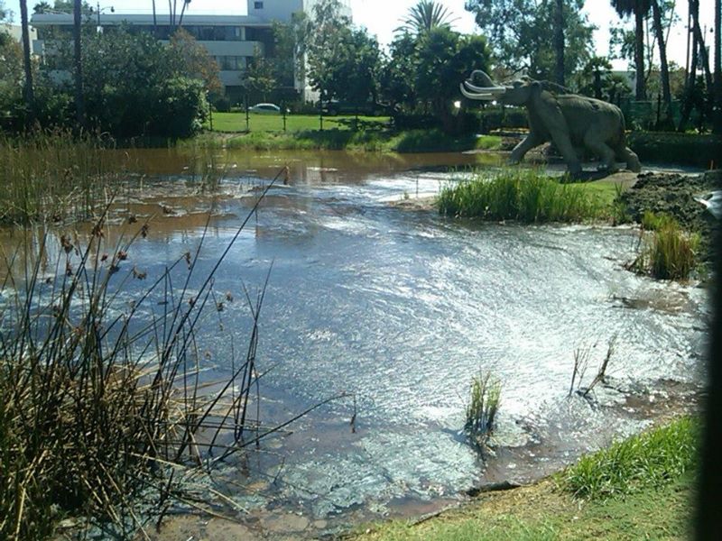 Throwback Thursday; La Brea Tar Pits, Wilshire Boulevard