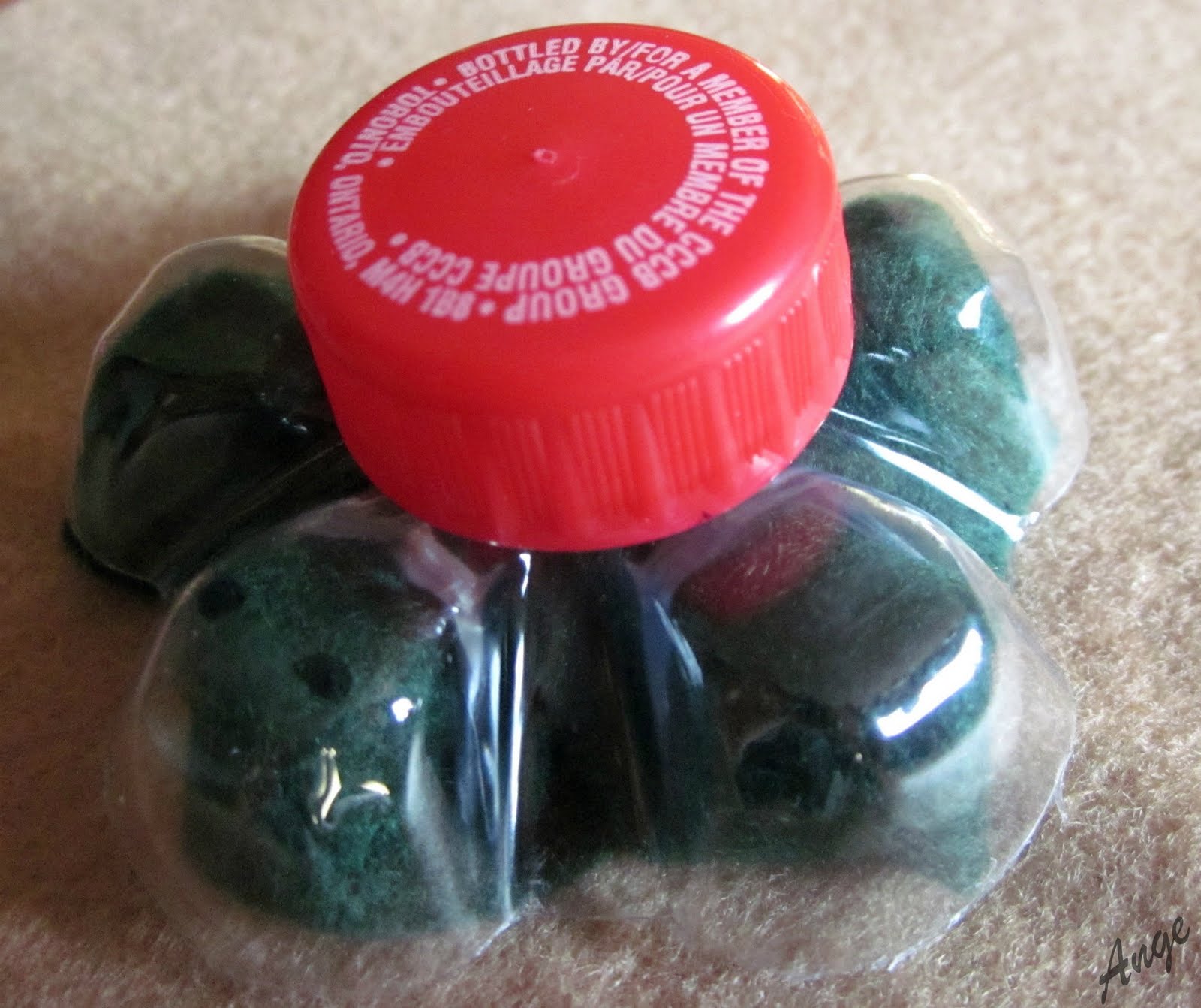 ~The Daily Turtle~: #182 Coke Bottle Turtle