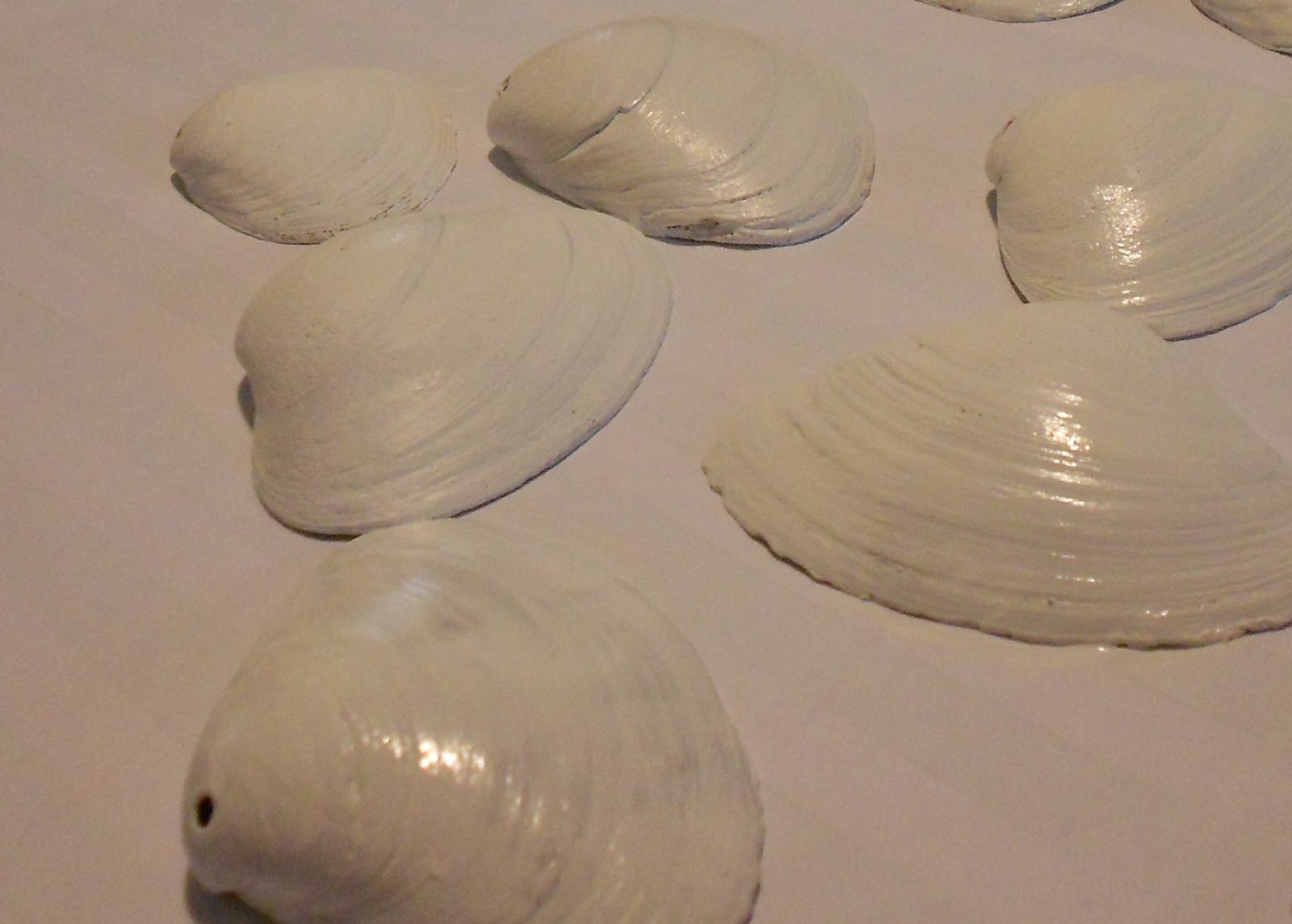 1022 Sea Shell Ave: The Process of Hand Painting Sea Shells