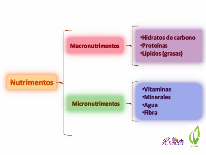 Qué son los Nutrimentos
