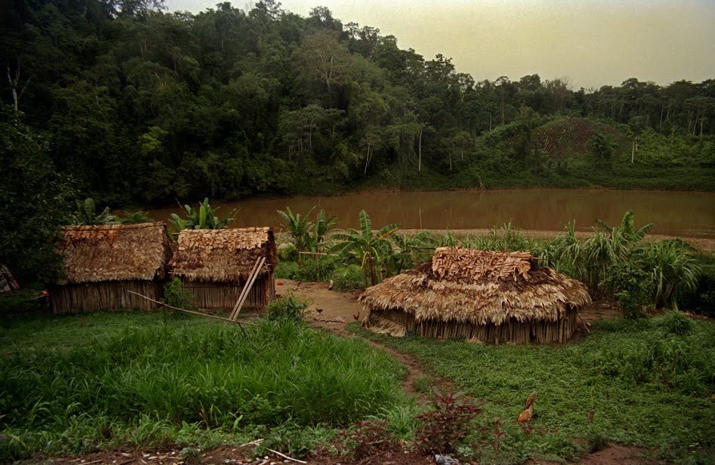 Lenguas y Culturas: Etnia Pech