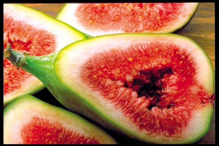 Uma nova mulher...: FIGO:UMA FRUTA ALTAMENTE PODEROSA...