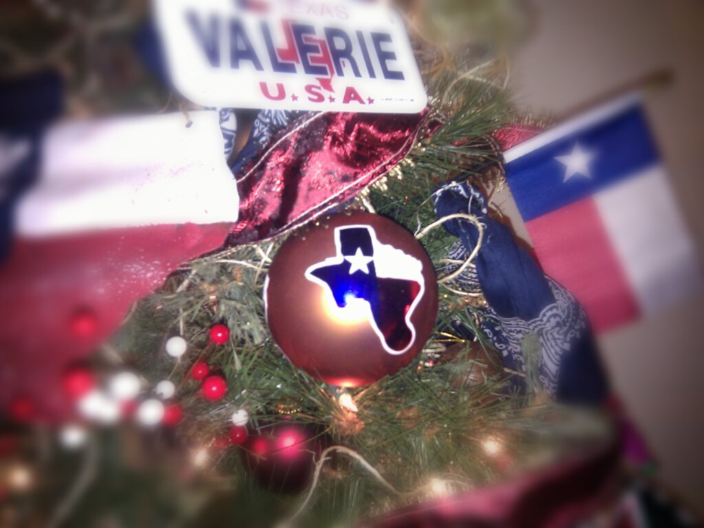 Domesticated Diva: Everything's Bigger (and Cuter) in Texas...Our Texas ...