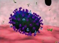 Avian Flu Diary: Clade X: Simulated Pandemic Table Top Exercise This Week