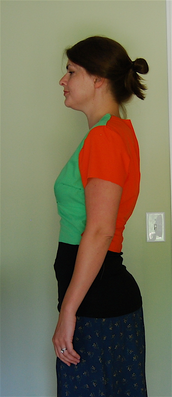 liza jane sews: Brownilocks And The Three Broad Back Alterations