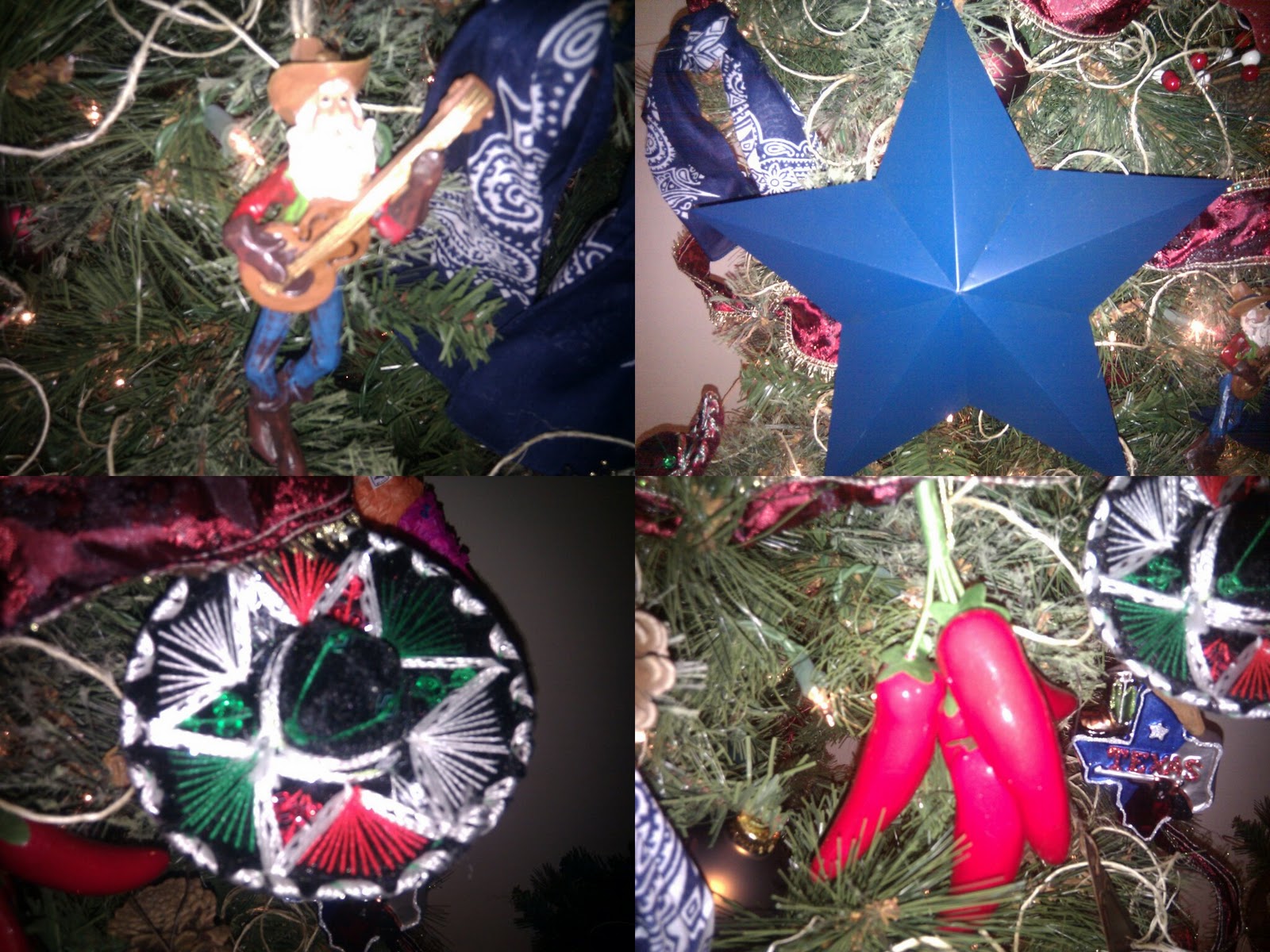 Domesticated Diva: Everything's Bigger (and Cuter) in Texas...Our Texas ...