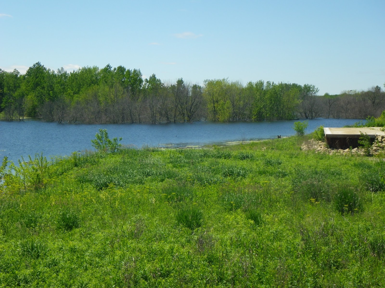 The Lost Grove Lake Mapping Project: It's Getting Closer To Full