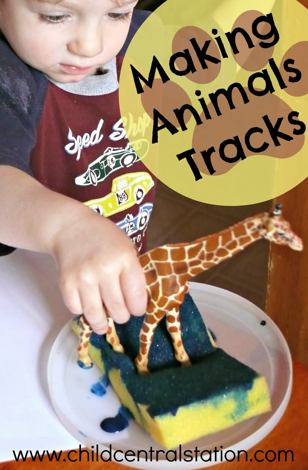 Making Animal Tracks
