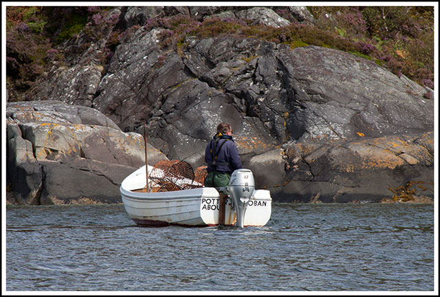 Inflatable Boat Journeys From Scotland: Ardnamurchan, Ardtoe and Kentra Bay