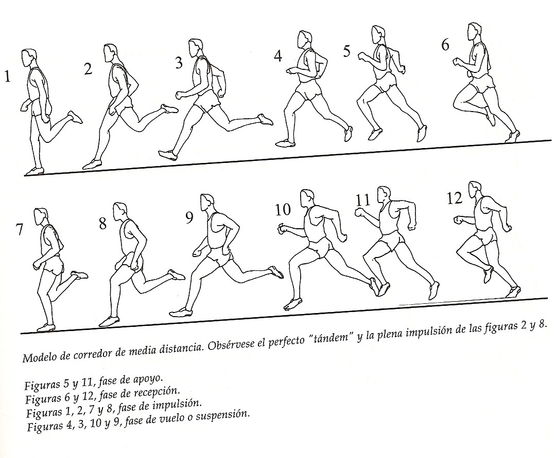 EDUCACIÓN FÍSICA - CEU: ¡Corre a toda mecha!