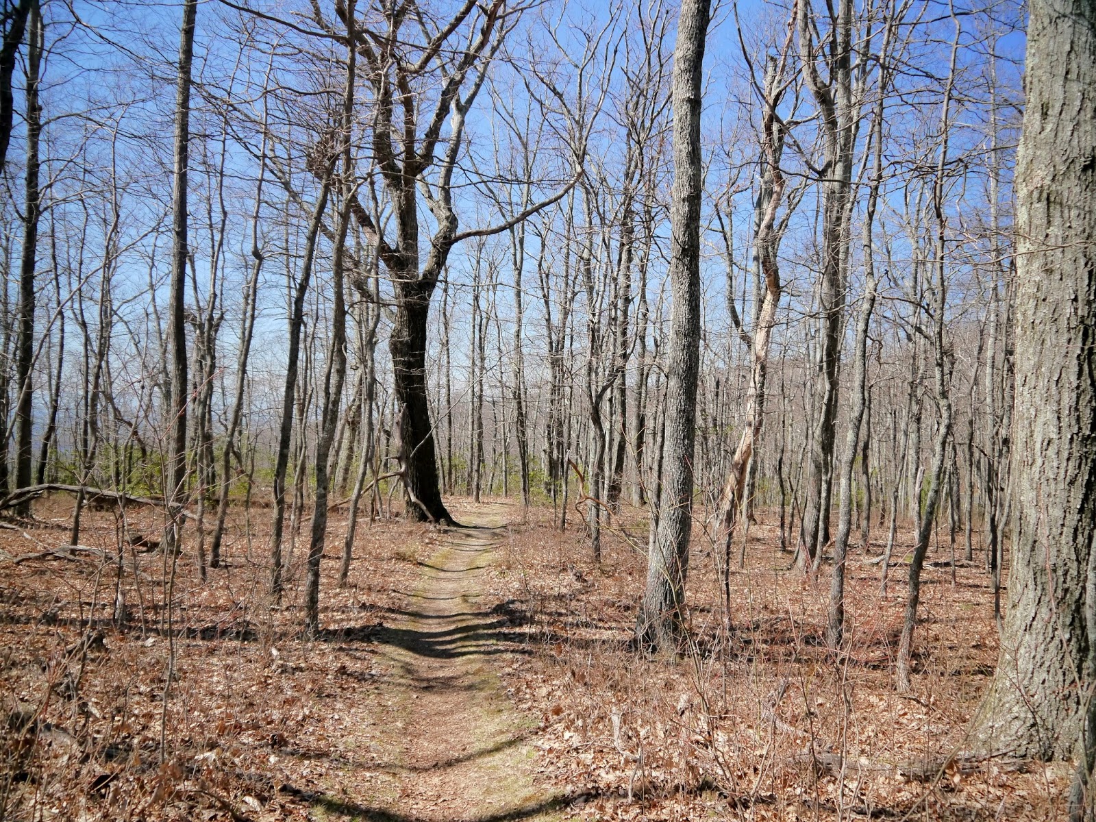 American Travel Journal: Riprap Trailhead to Blackrock Gap ...