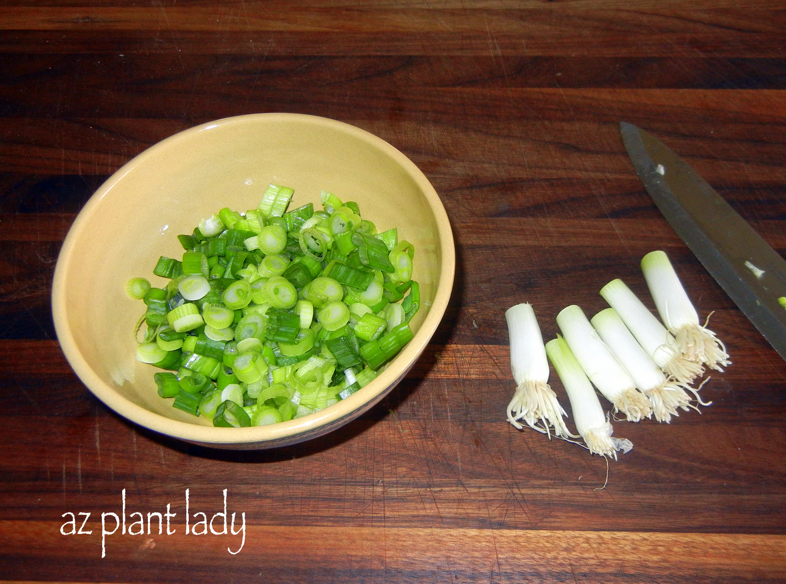 Re-Grow Your Green Onions - Ramblings from a Desert Garden
