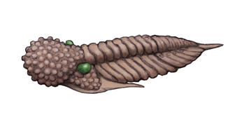 Los animales en la prehistoria: junio 2013