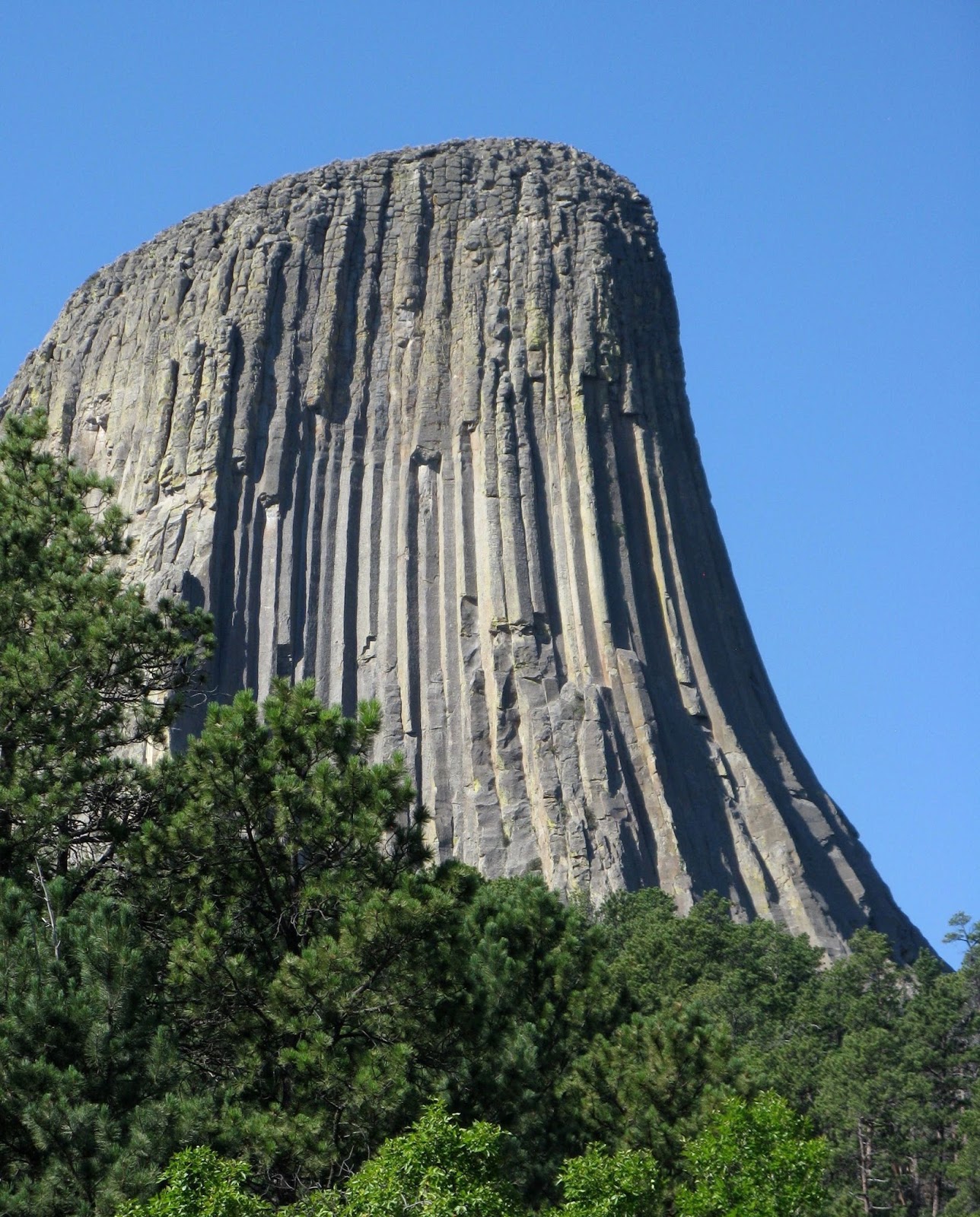 In the Company of Plants and Rocks: Wyoming's Exotic and Enigmatic ...