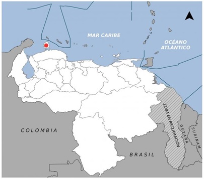 UNAECOLÓGICA: ESPECIE ENDÉMICA DE VENEZUELA: Murciélago bigotudo de ...