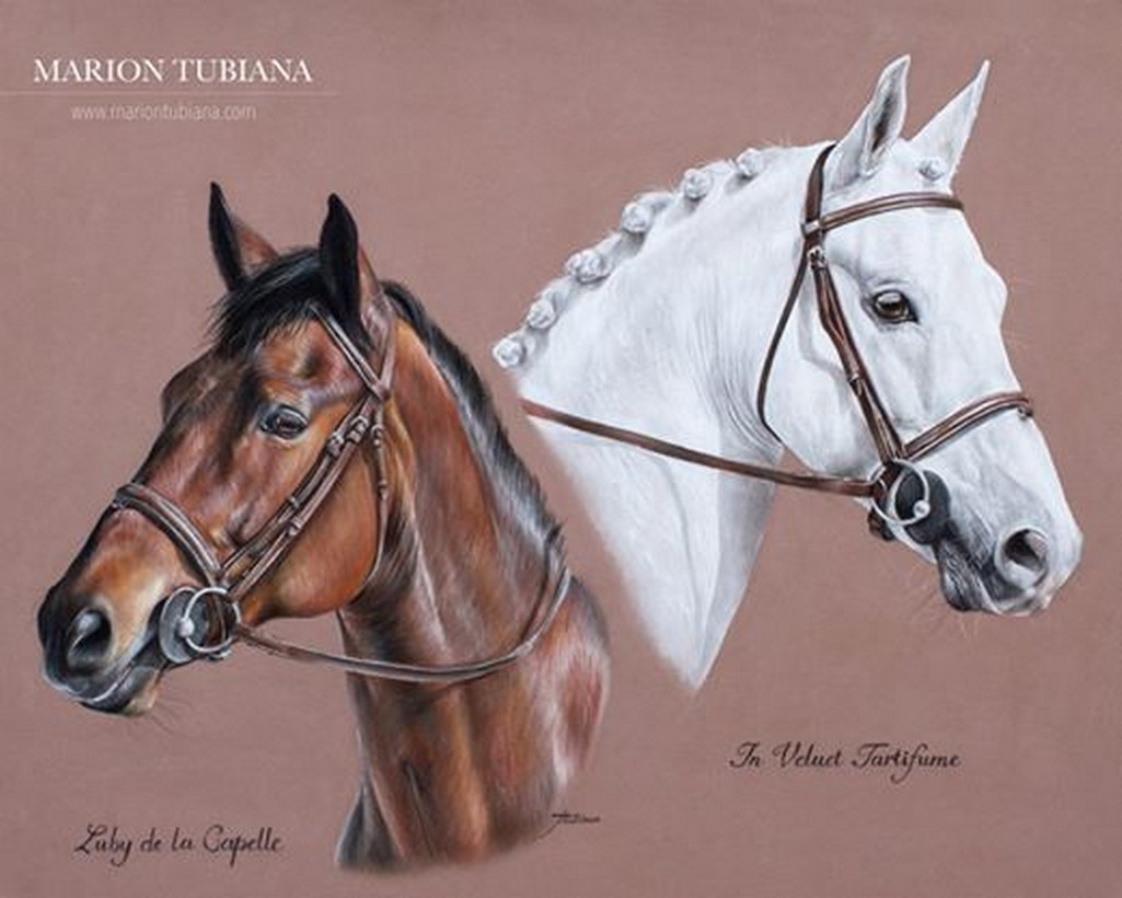 Historia y evolución de la pintura artística : "Excelentes dibujos con ...