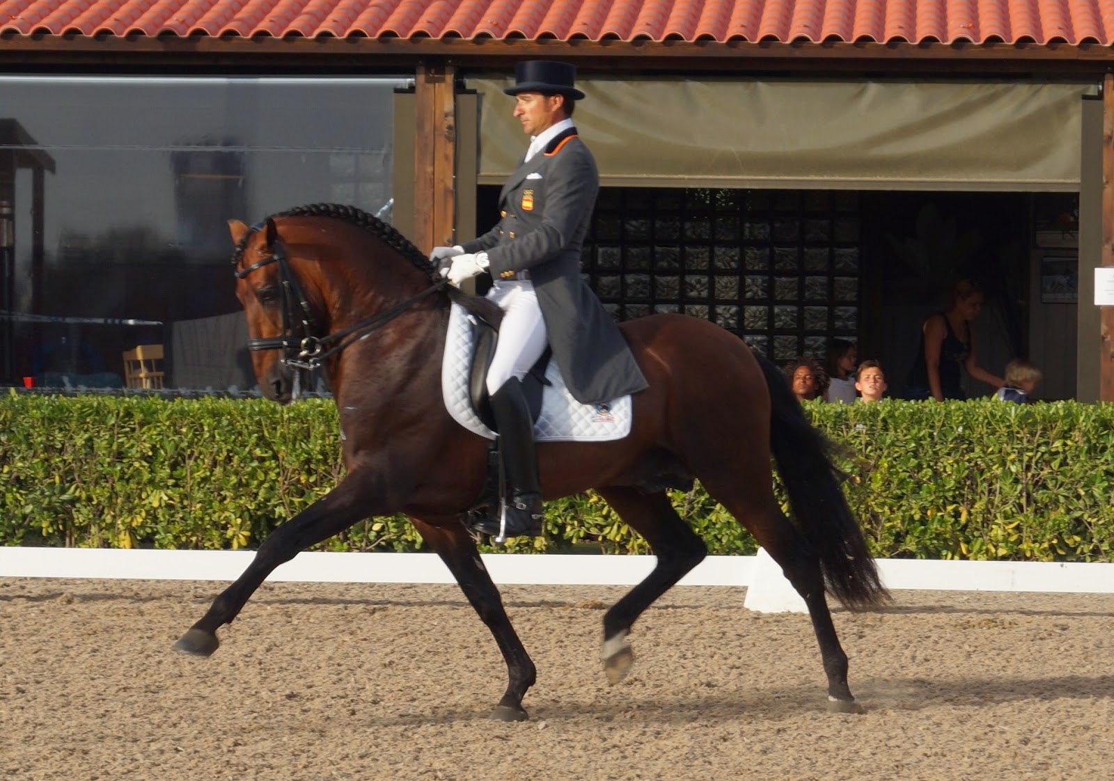 La equitación y el mundo del caballo.: El caballo PRE sigue cosechando ...