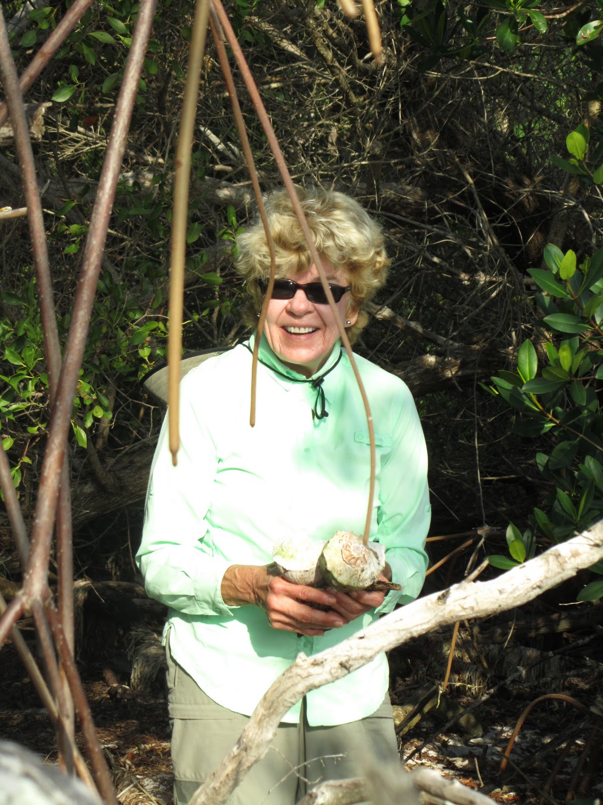 Connecting Pieces: Shell Seeker- Hunting for Conch Shells