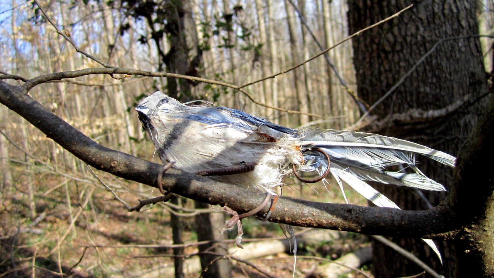 Only Googlebot Reads This Blog: June 2014